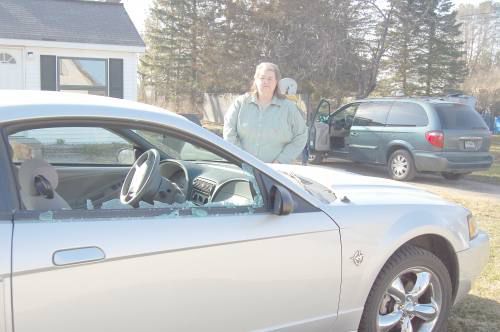 Police investigate Manton vandalism spree | Local News | cadillacnews.com