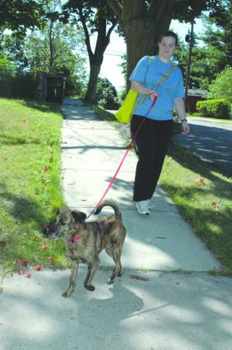 Going carless | Local News | cadillacnews.com