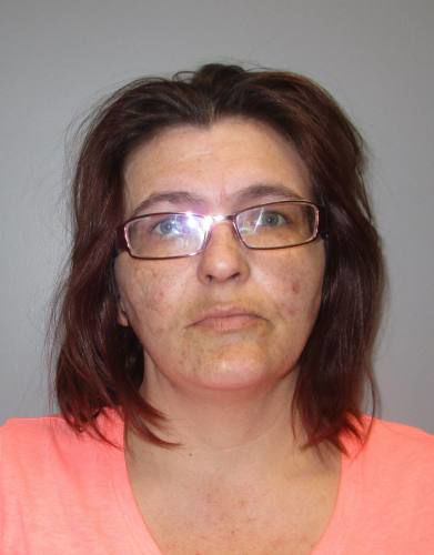 Manton Woman Facing Multiple Welfare Fraud Charges News
