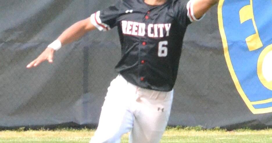 Rally ’Cats: Evart claims D3 baseball district title | Sports ...