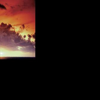 Rodney Allen Nederhood Jr. | Obituaries | cadillacnews.com