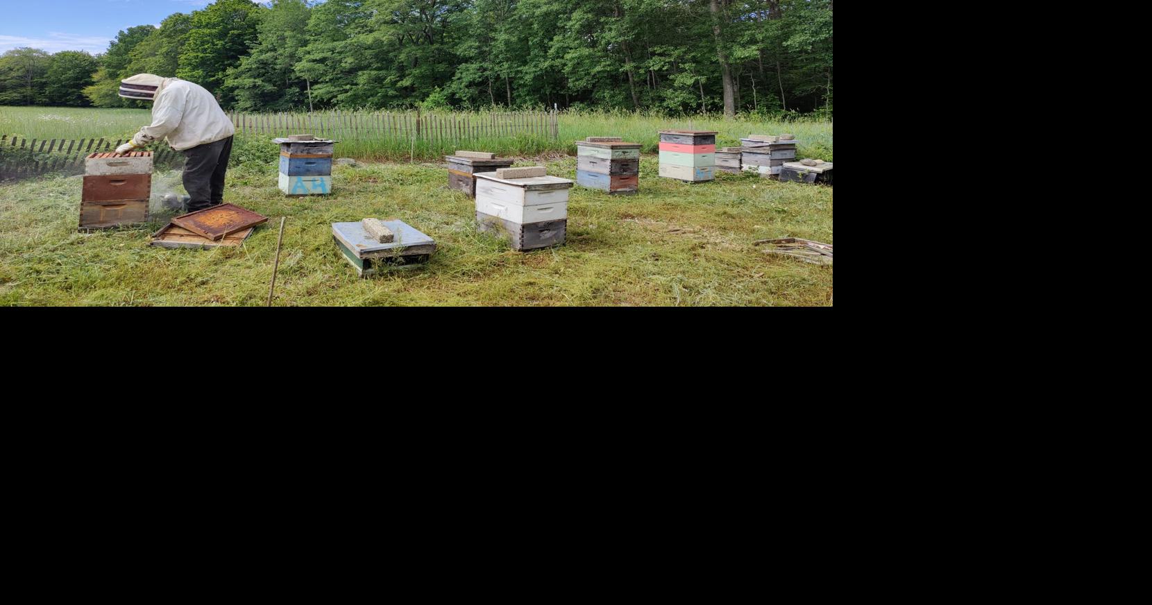 Beekeeping basics, conservation to help pollinators | | cadillacnews.com