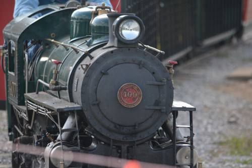 A day at the Buckey Old Engine Show | Local News | cadillacnews.com