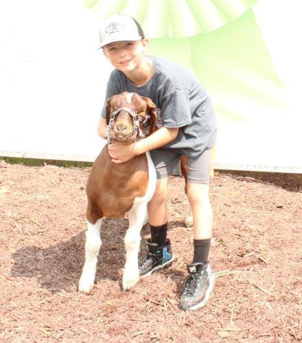 4-H participants have been busy at the Osceola County Fair | News ...