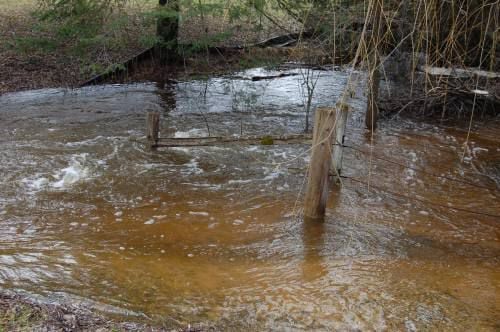Rising Waters Force Evacuations In Osceola County Local News