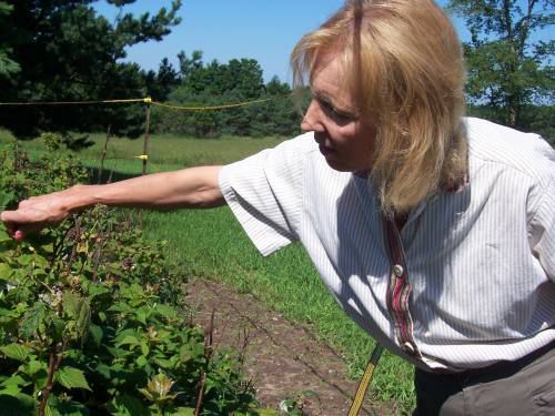 How does your garden grow | Local News | cadillacnews.com