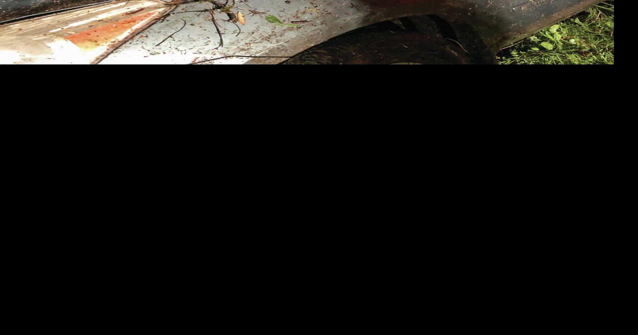 Tree Spears Windshield In Crash, Driver Avoids Serious Injury | Local ...