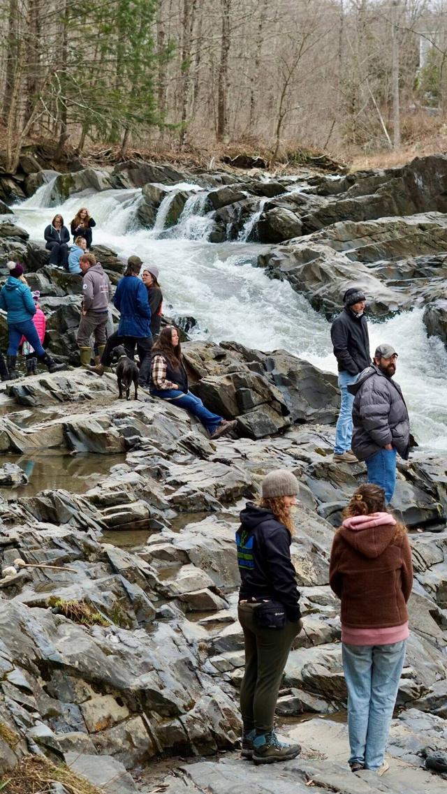 Steelhead Trout Jumping At Willoughby Falls | Local News ...