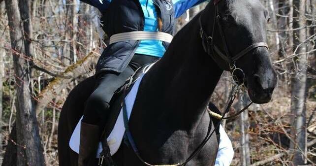 Horses Help Hasten Healing At Rhythm Of The Rein | Local News ...