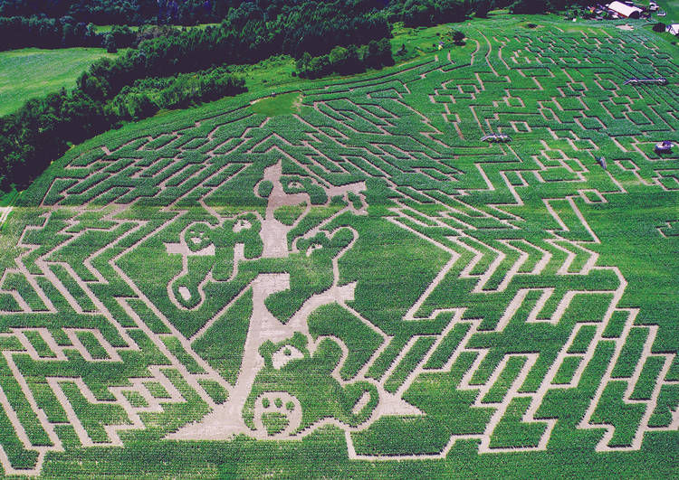 Lifetime TV to Feature The Great Vermont Corn Maze | News ...