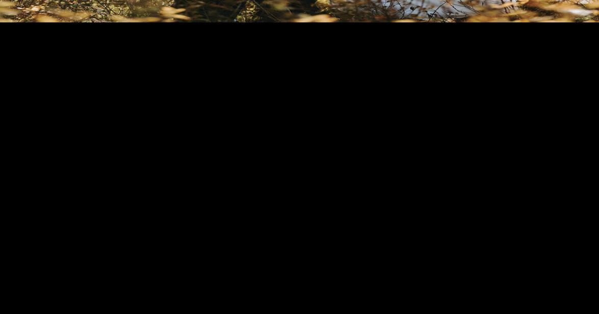 Devon Biggie And Megan Morin United In Marriage | Milestones ...