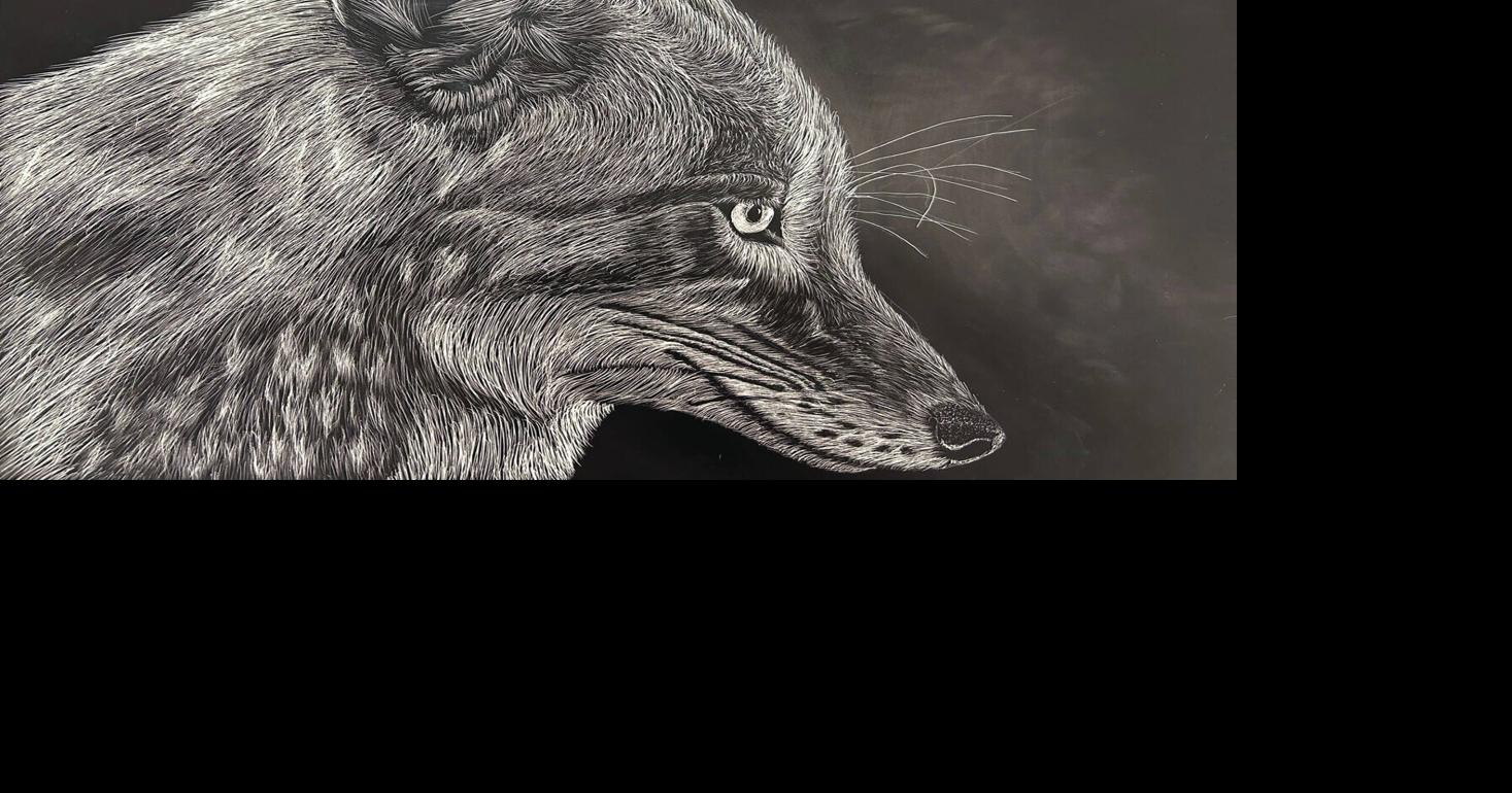Hazen Union Students Earn Recognition In Vermont Student Wildlife Art ...