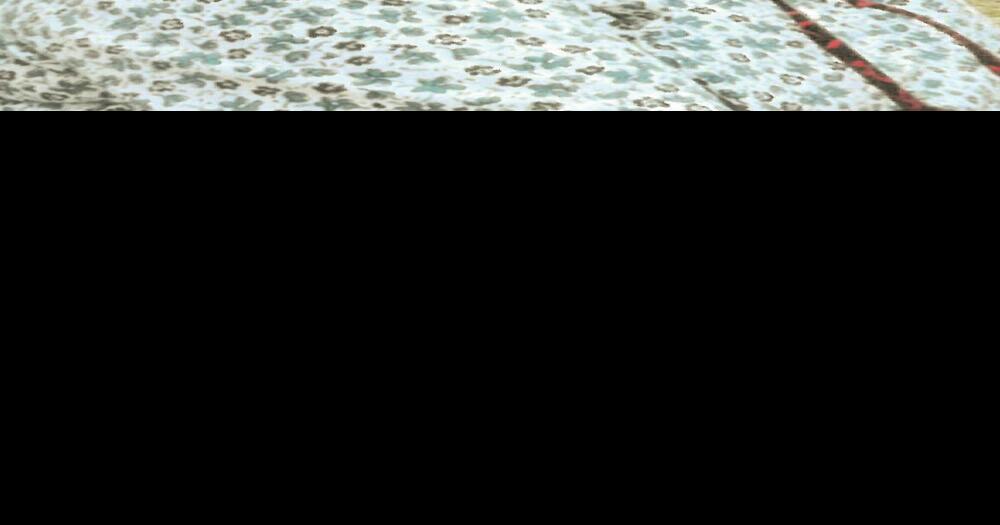 Joshua Gaskin's Instagram, Twitter & Facebook on IDCrawl