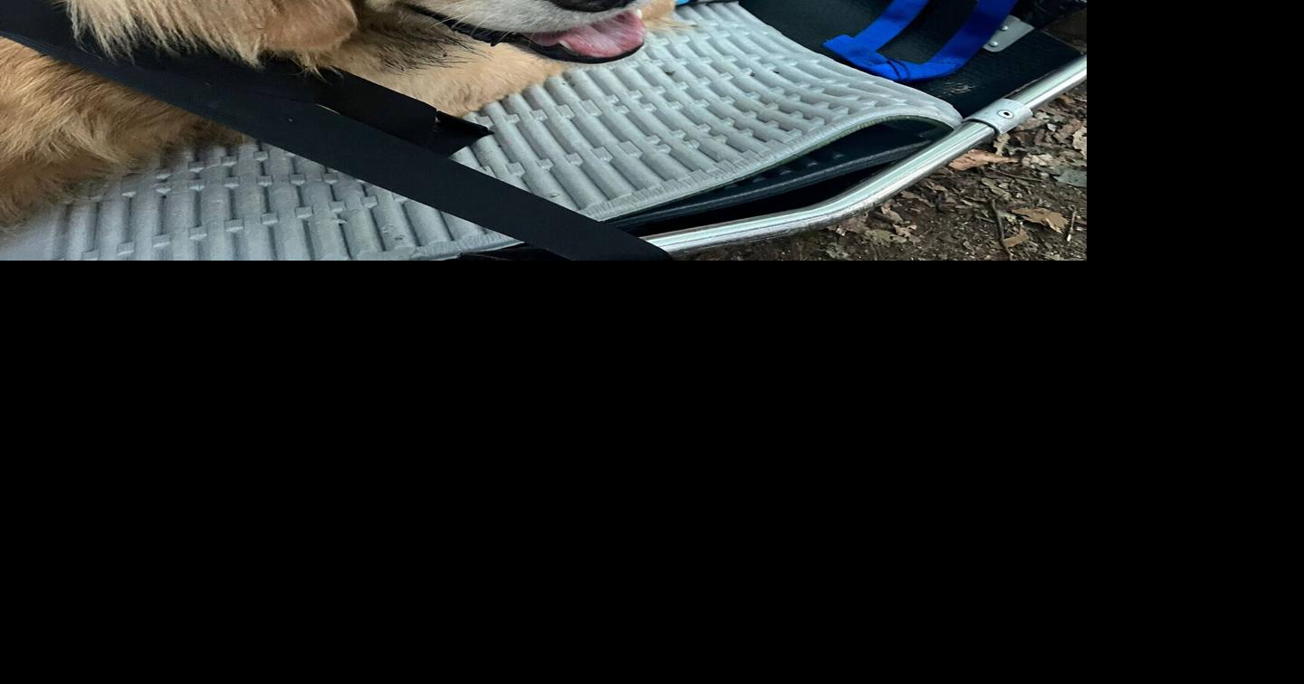 Dog Carried Out Of Franconia Notch | Local News | caledonianrecord.com