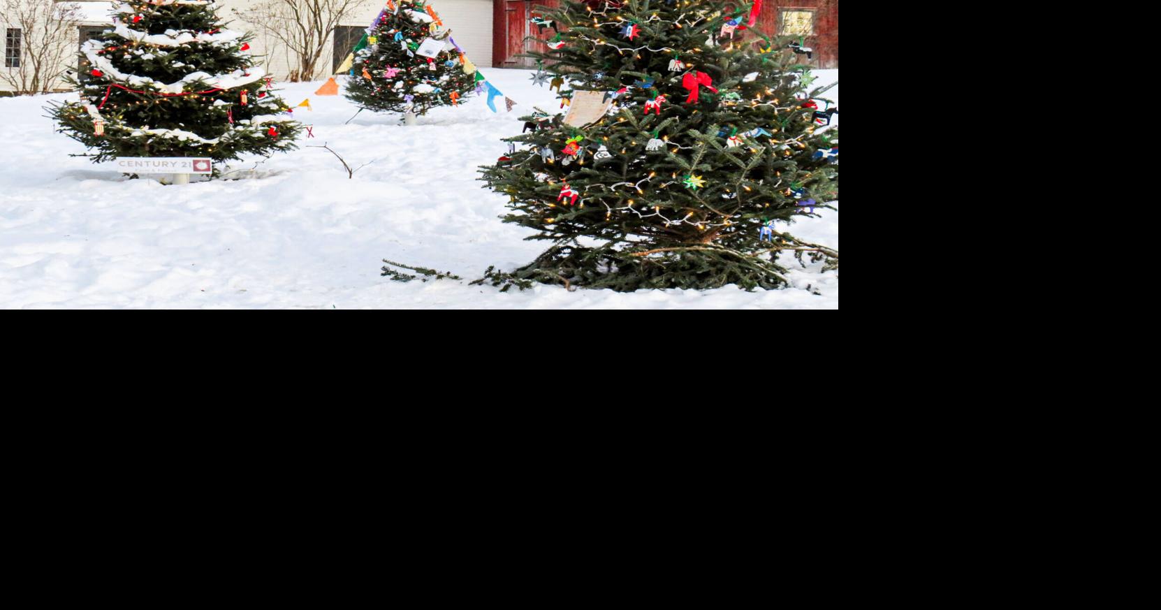 Burke Chamber Features Santa Visit And Christmas Tree Contest | Local ...