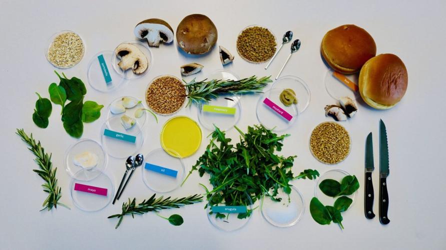 AI designs the ‘ideal’ burger for taste, health and our planet ...