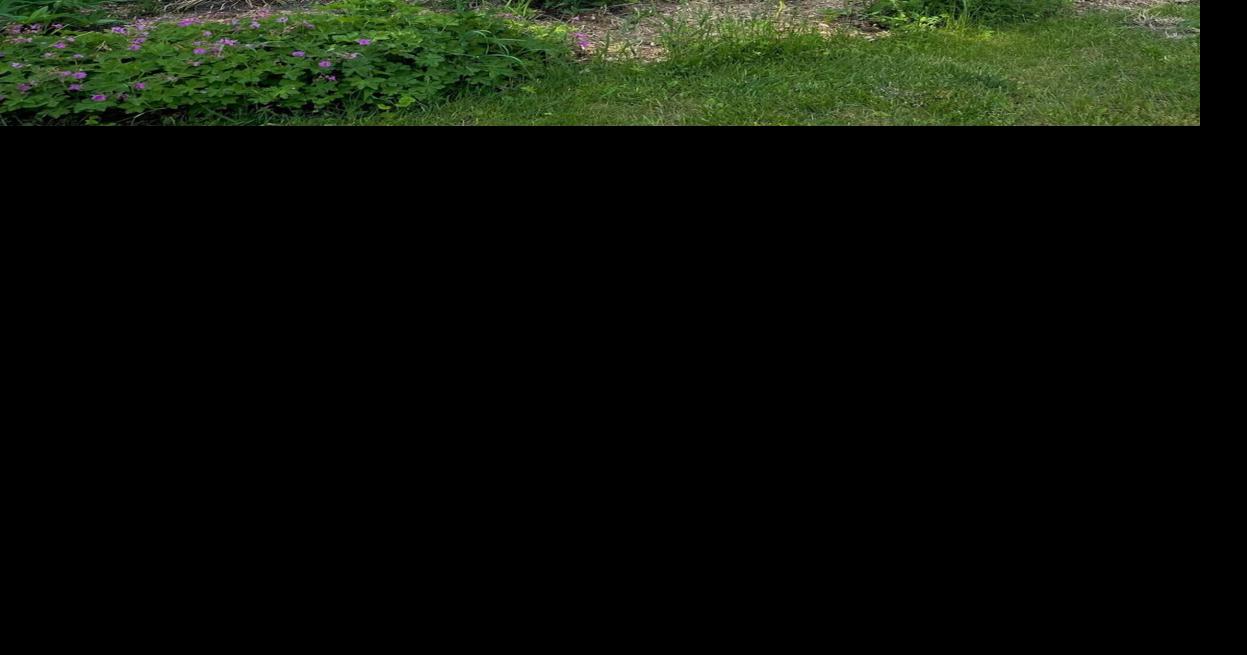 Barnet Library Gets CLiF Grant | Entertainment | caledonianrecord.com