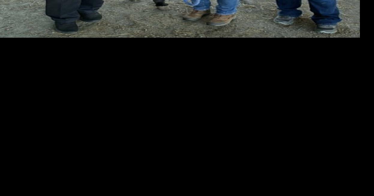Mountain View Farm Animal Sanctuary In Burke Coming To Peaceful End ...