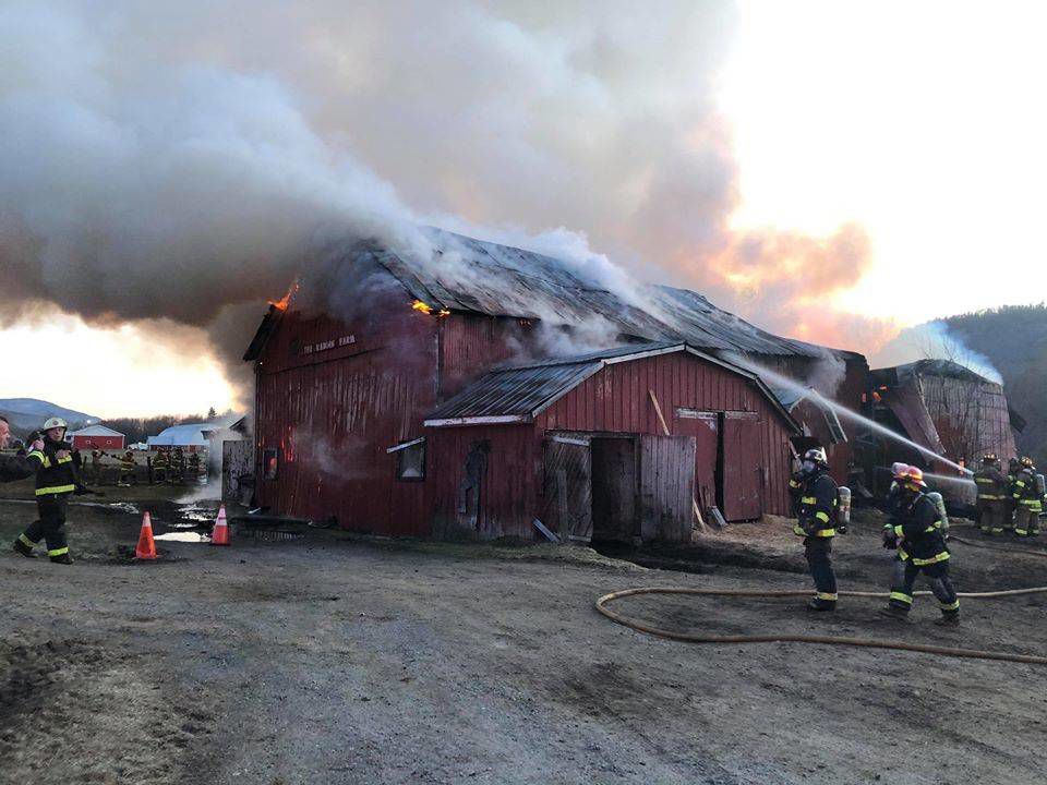 Most Cows Saved From Burning Barn In Lowell | Local News ...