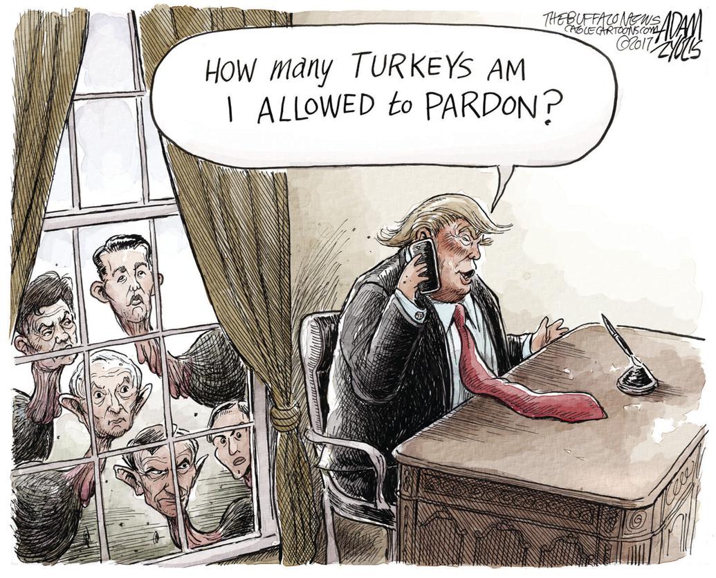 Turkeys | Cartoons | caledonianrecord.com