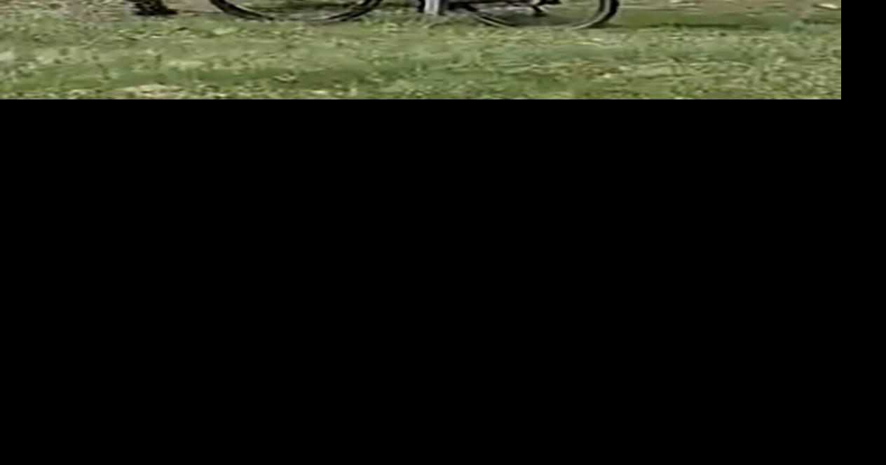 Rasputitsa Crash Report Concludes Bicyclist Failed To Follow Rules Of ...