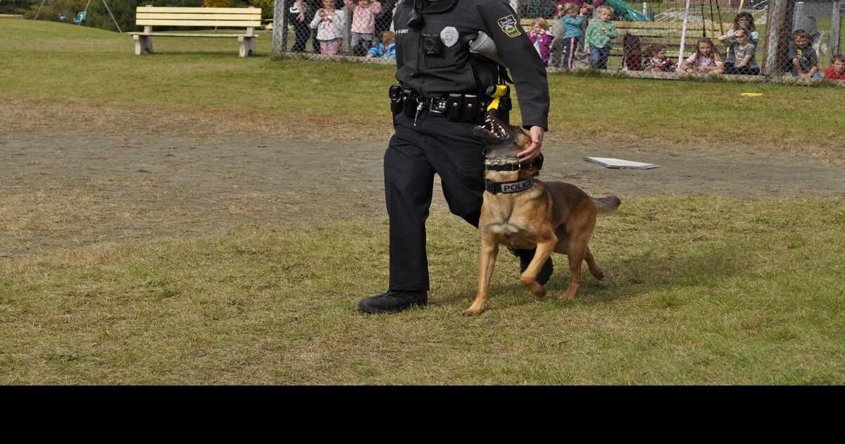 NEK K9 Unit Named Best In Vermont | Local News | caledonianrecord.com