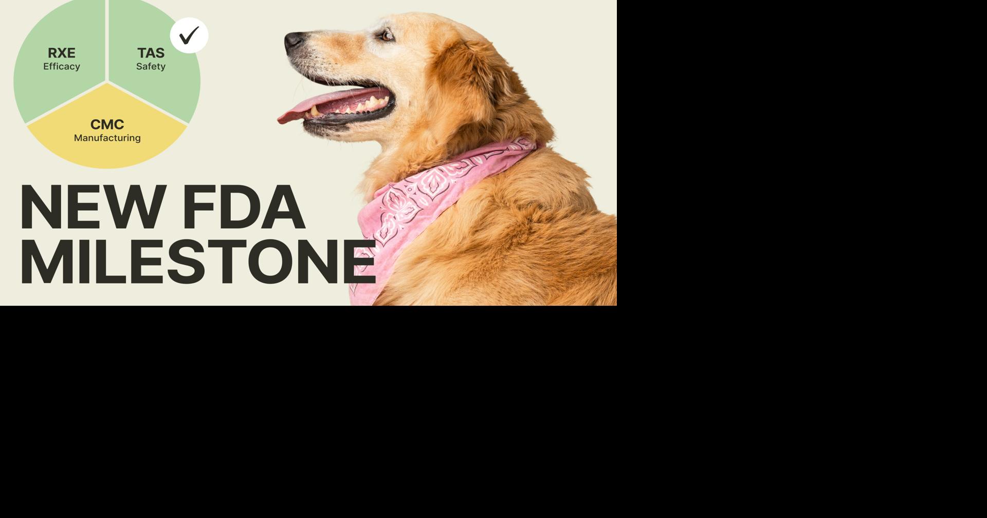 Loyal Receives FDA Acceptance of Safety Package for Senior Dog Lifespan ...