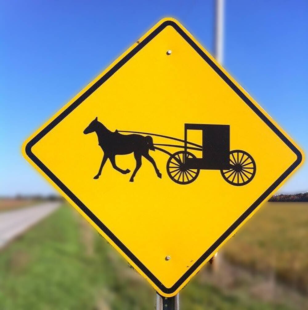 Horse-drawn Buggy Struck; Horse, Buggy Operator Suffer Injury | Local ...