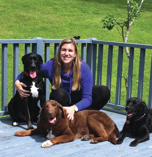 Dr. Emily Comstock Joins Danville Animal Hospital | Business ...