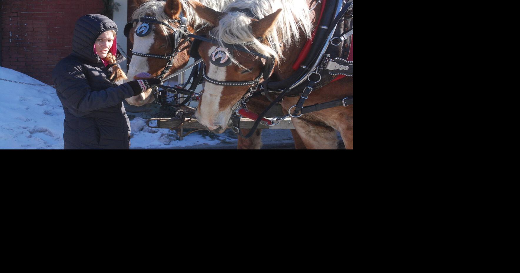 2023 Winter Guide: Lovely Weather For A Sleigh Ride Together ...