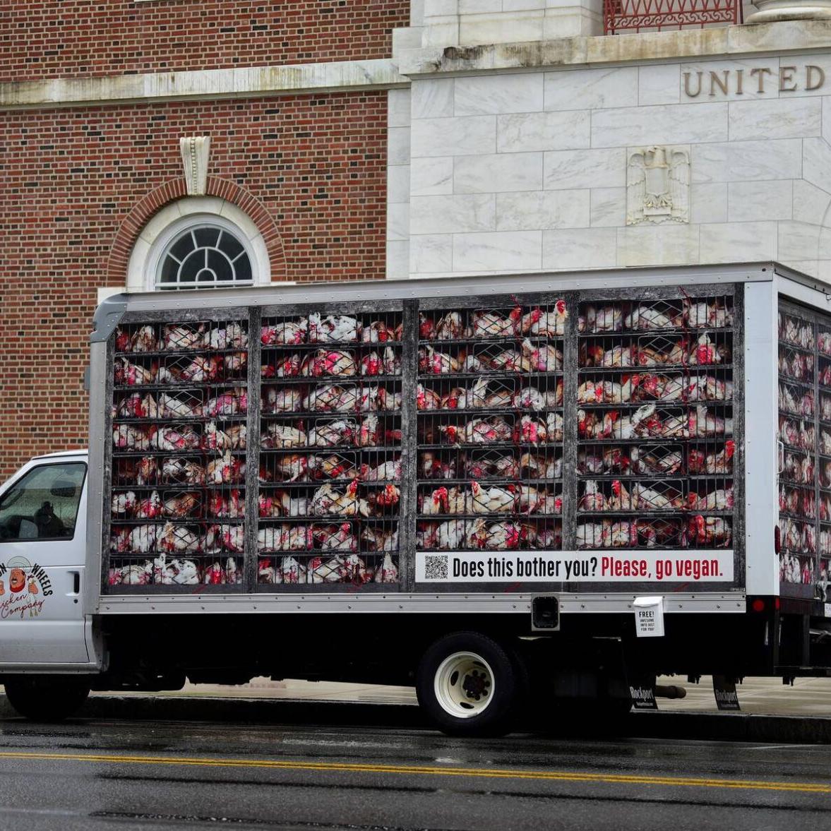 Annette Pike Obituary | Deaths | caledonianrecord.com