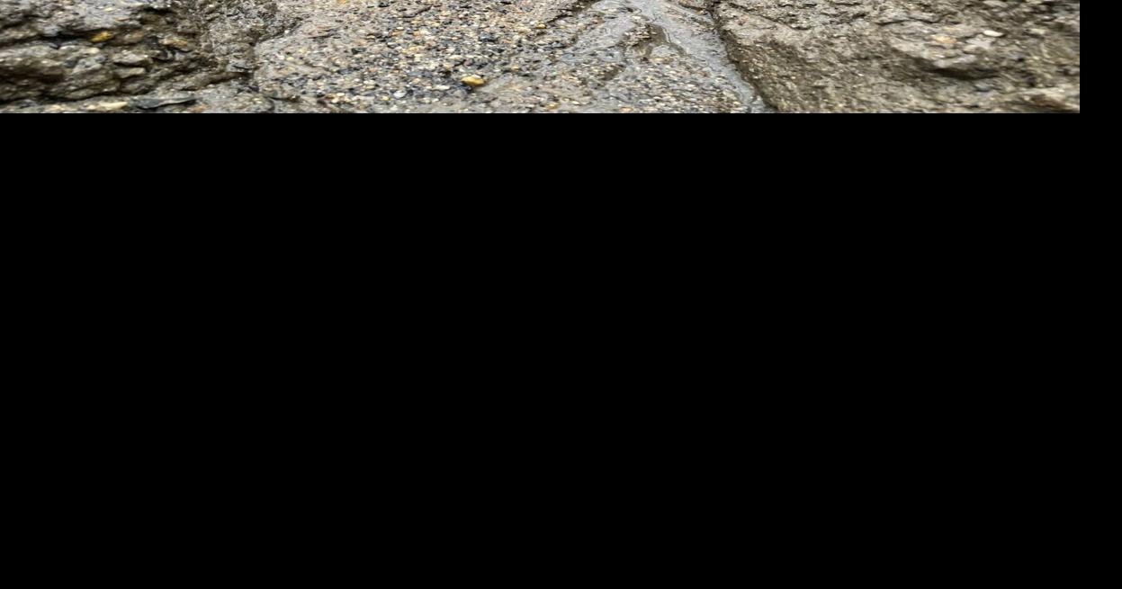 Muck And Mire: Mud Season Is A Doozy | Local News | caledonianrecord.com