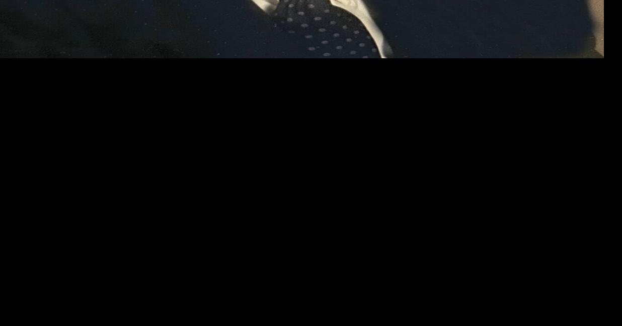 Donald Edward Pastula Obituary | Deaths | caledonianrecord.com