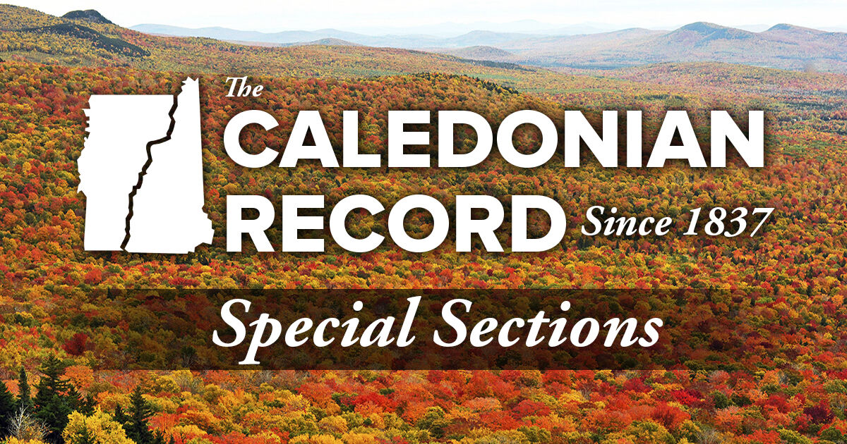 VSP News Release multiple charges, case numbers, victims, occurring in ...