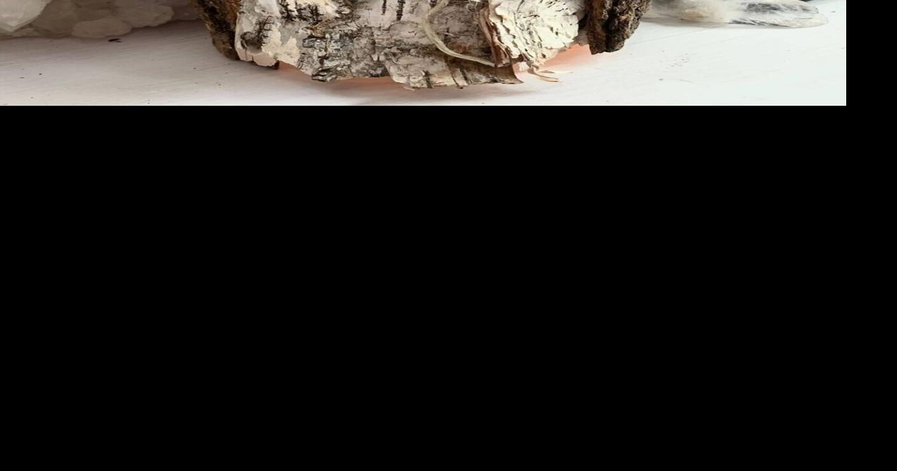 Birch Bark Class Set Feb. 16 For Homeschoolers | Entertainment ...