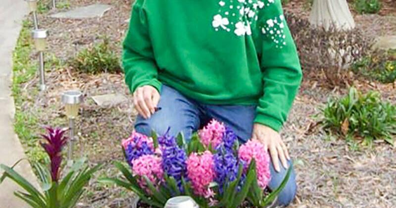 Donna Lee (Daley) May Obituary | Deaths | caledonianrecord.com