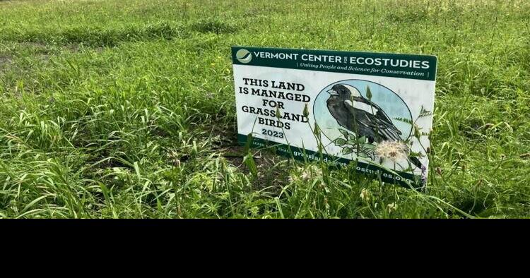 The Bobolink Project: Grassland Bird Habitat Efforts Span Region ...