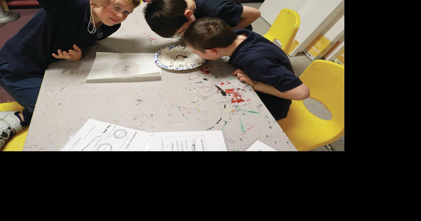 The Relationship Between Worms and Dirt | Education news ...