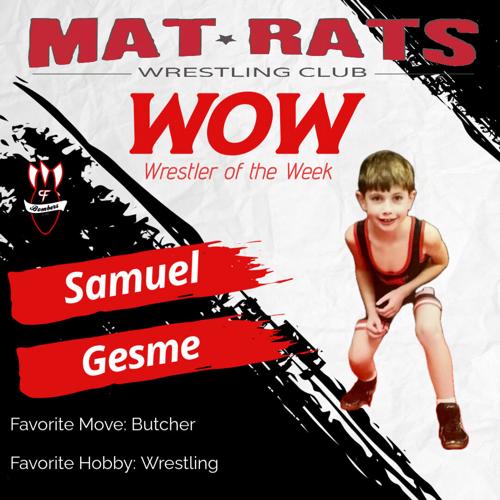 Erlanson, Marklevits, Gesme, German were the Jan. 8 Cannon Falls ...