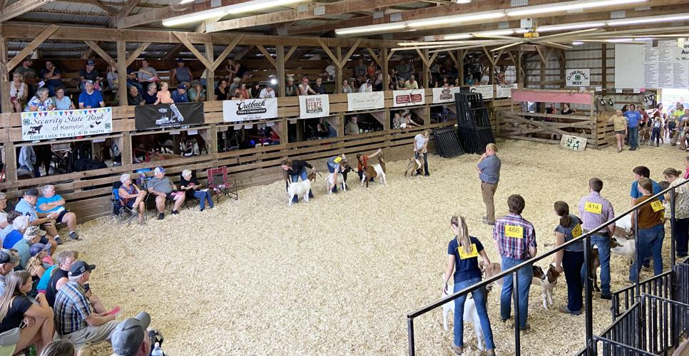 PHOTOS: Thursday was a beautiful day at the Goodhue County Fair | Local ...