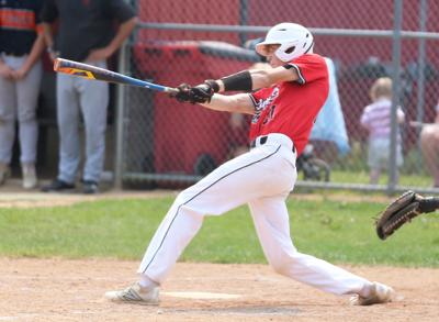 Cannon Falls baseball comes one game short of section championship ...