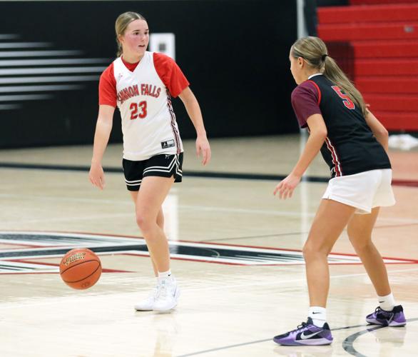 Winter Sports Preview: Bomber girls basketball is young under new head ...