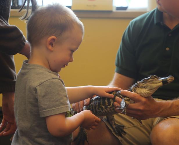 RAD Zoo brings reptiles to Cannon Falls Library | Local News ...