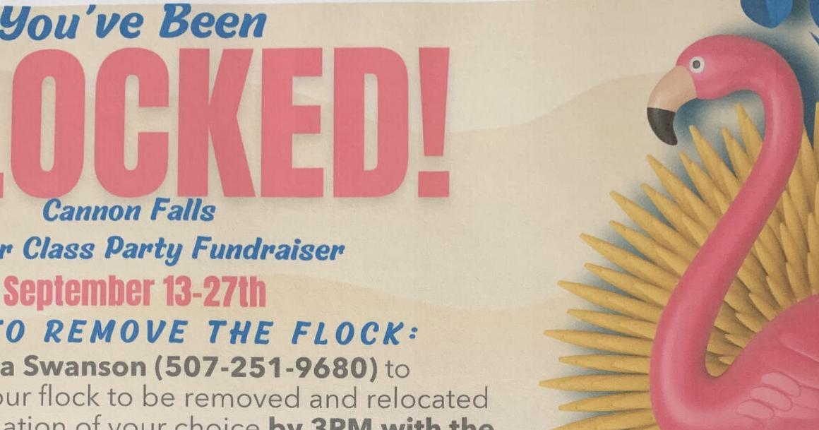 Flamingos are back for the 2025 senior class party fundraiser | Schools ...