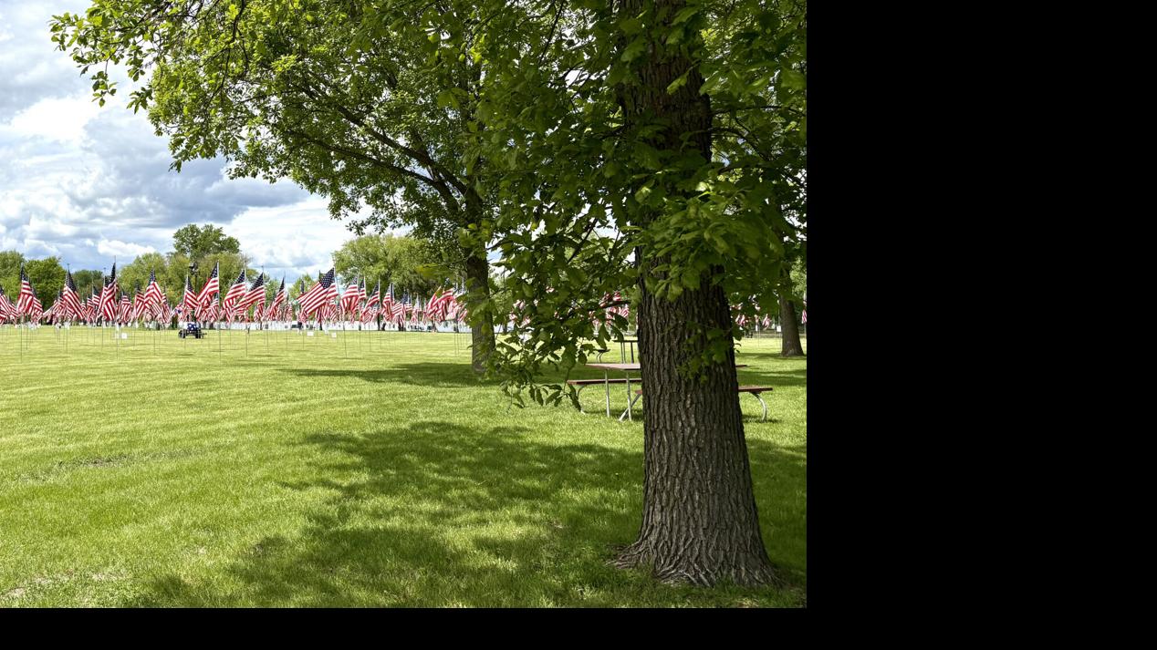 Opinion | cannonfallsbeacon.com