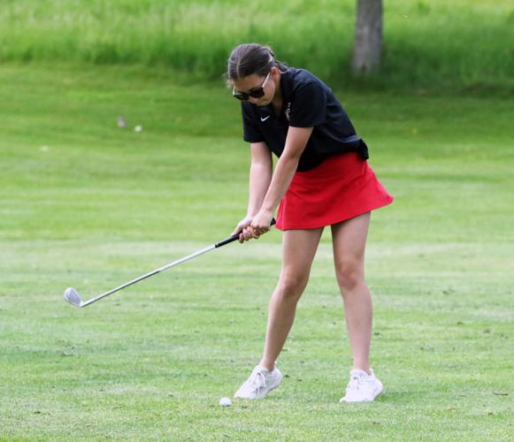Cannon Falls, Randolph golf teams compete at section meet | Sports ...