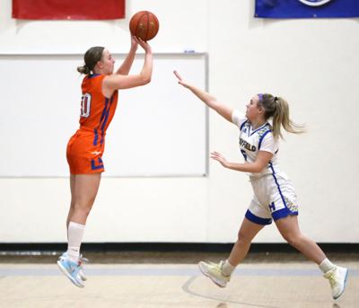 Rocket girls basketball falls to Hayfield in potential sections preview ...