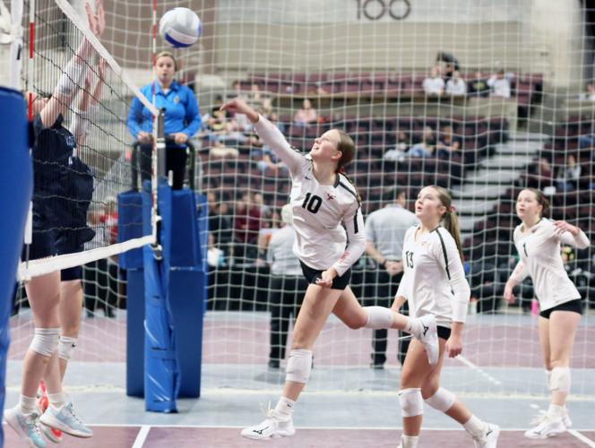 Cannon Falls volleyball falls to Z-M in section quarterfinal | Sports ...
