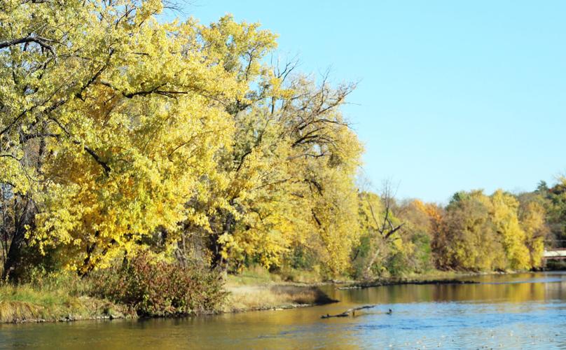 Fall colors broke out in all their glory last week | Local News ...