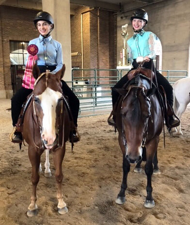 Goodhue County 4-H Horse Project competes at state fair | Local News ...